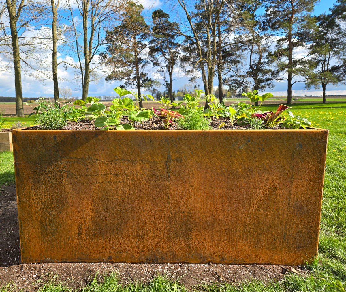 Raised Beds and Planters – Iron Forest Design and Fabrication